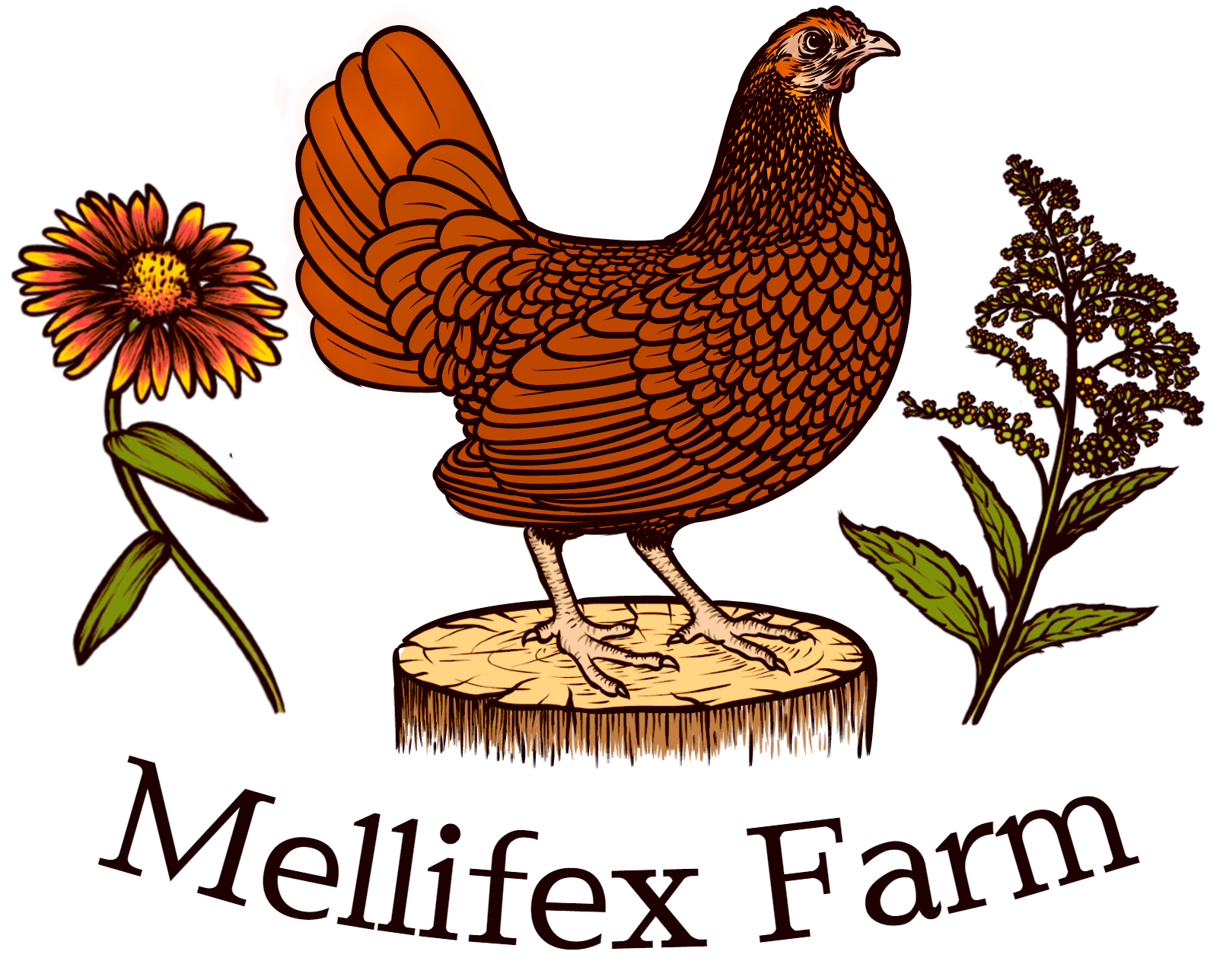 About Us Mellifex Farm